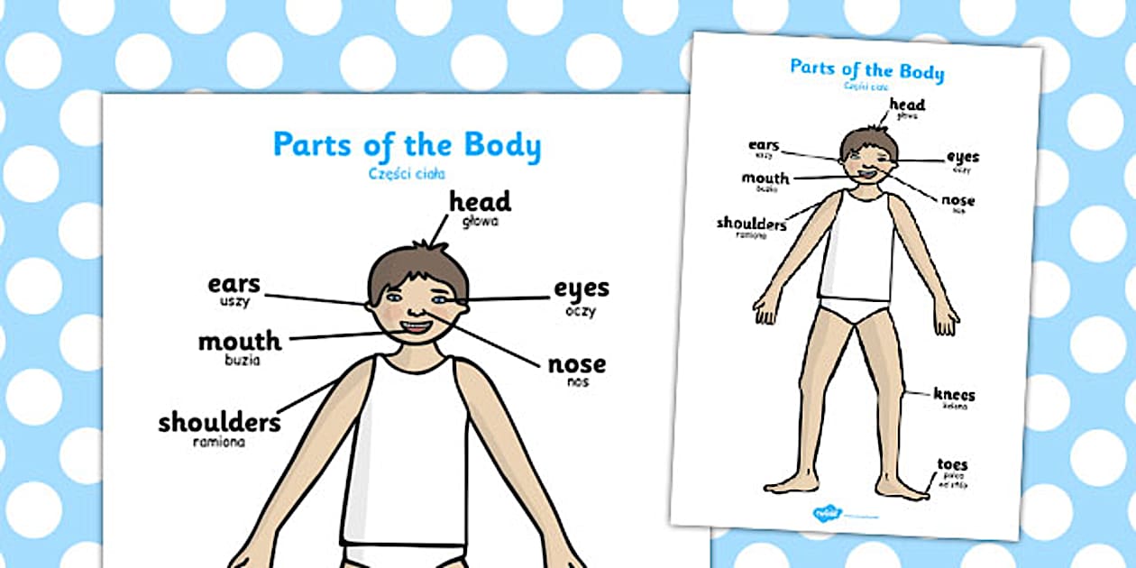 Black and White Parts of the Body A4 Head and Shoulders Polish Translation