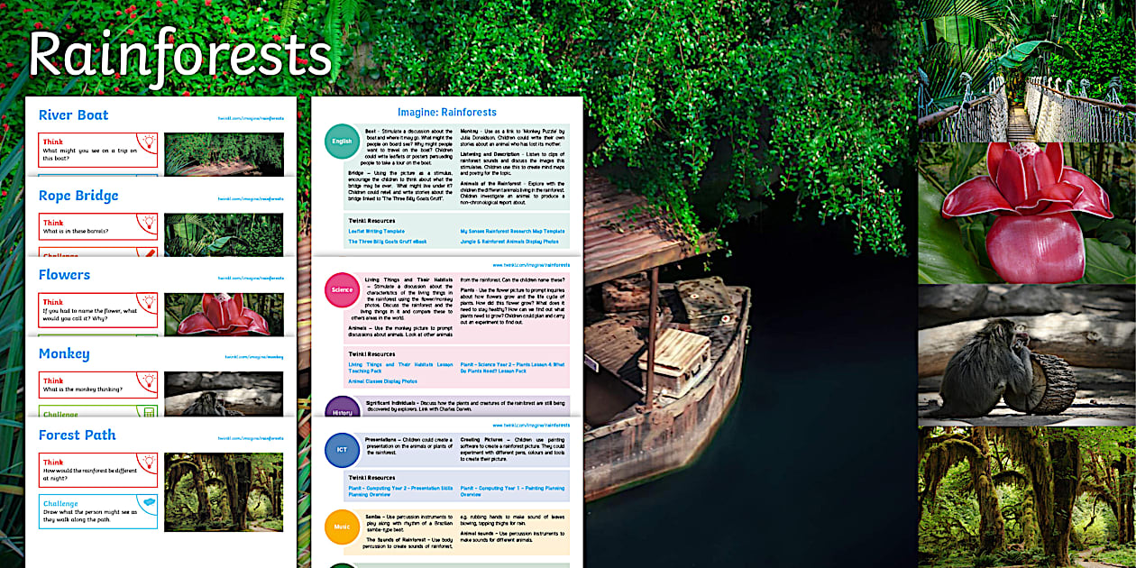 Imagine Rainforests KS1 Resource Pack (teacher made)