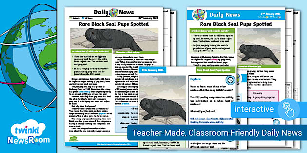 Seals Reading Comprehension | Twinkl NewsRoom Resources