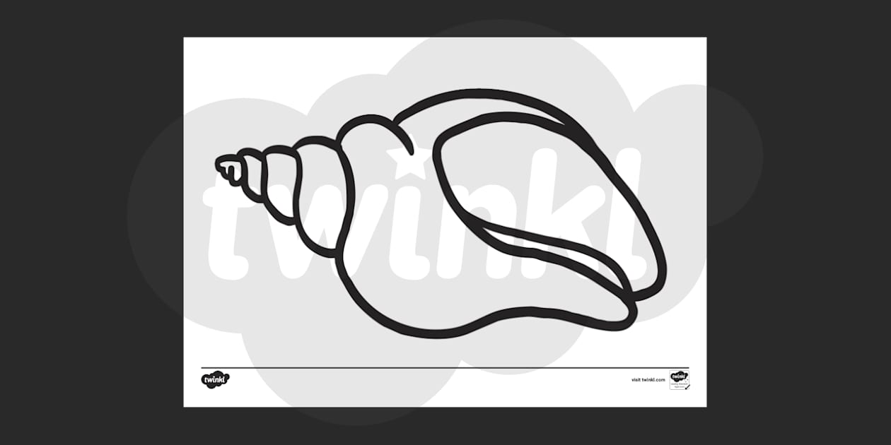 conch shell outline simple