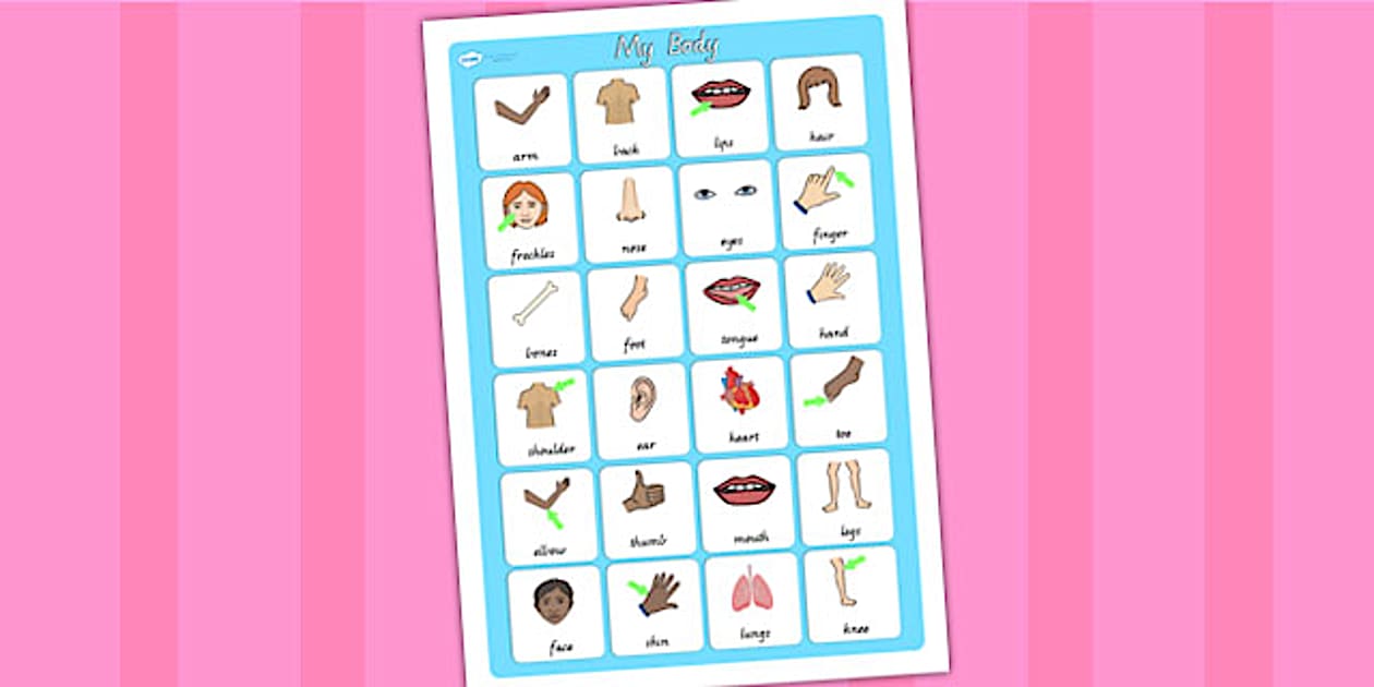 QLD My Body Vocabulary Poster (teacher made) - Twinkl