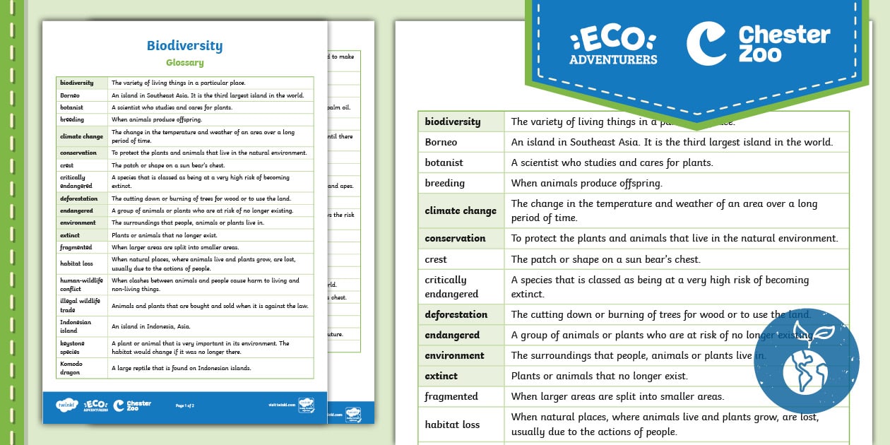 FREE! - Year 3 Biodiversity: Key Vocabulary Glossary