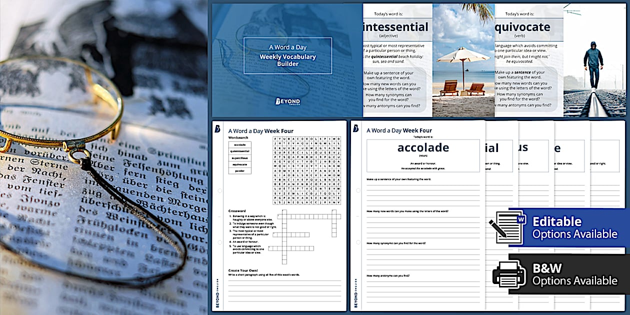 Week 4 Word of the Day Activity Pack - Beyond Secondary