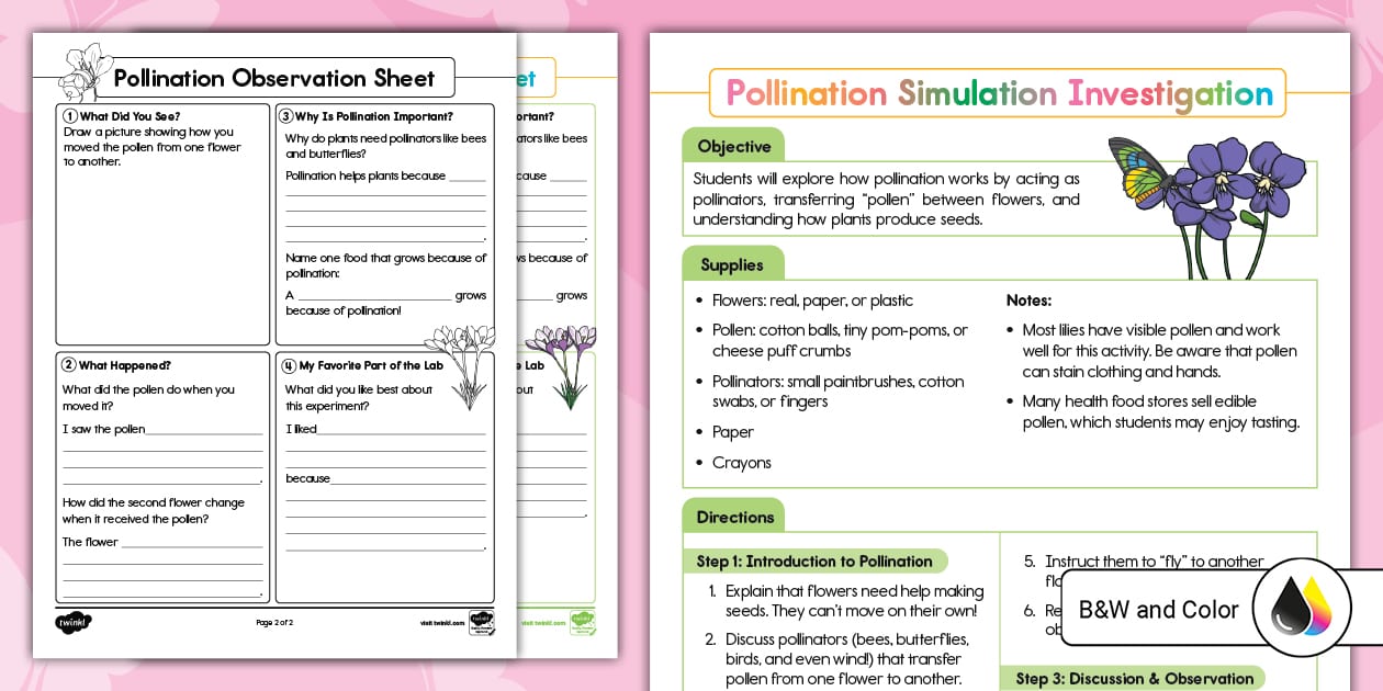 Pollination Simulation Science Investigation for K-2nd Grade
