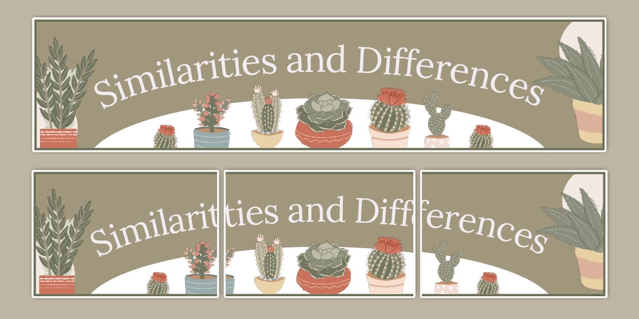 Succulent-Themed Similarities and Differences Display Banner
