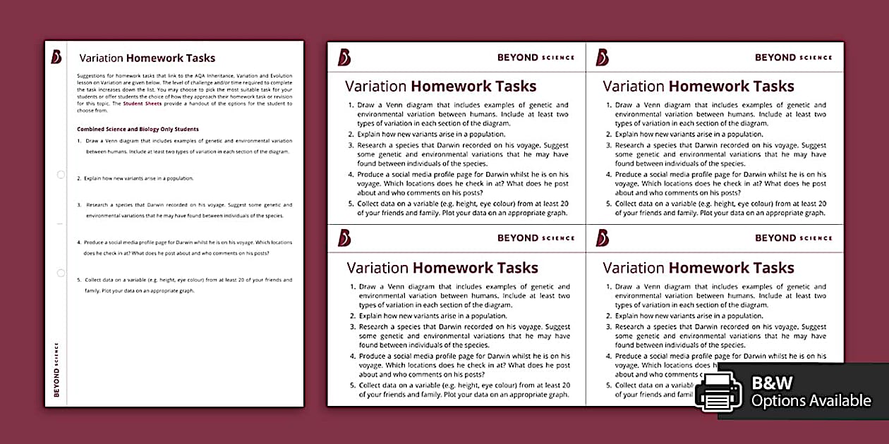 Variation Homework and Revision Tasks (teacher made)