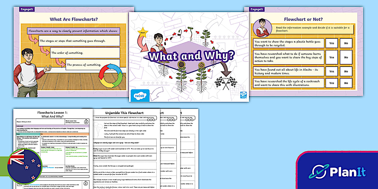 Writing to Inform Flowcharts Lesson 1: What and Why?