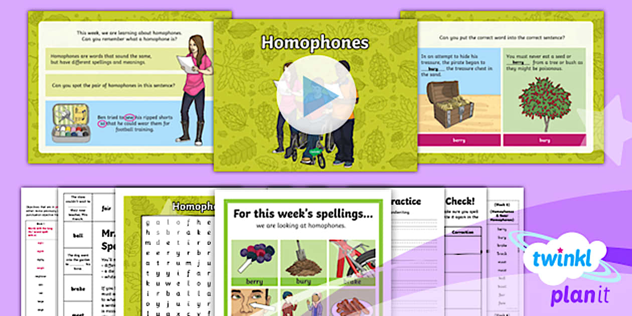 Homophones and Near Homophones Lesson Plan (teacher made)