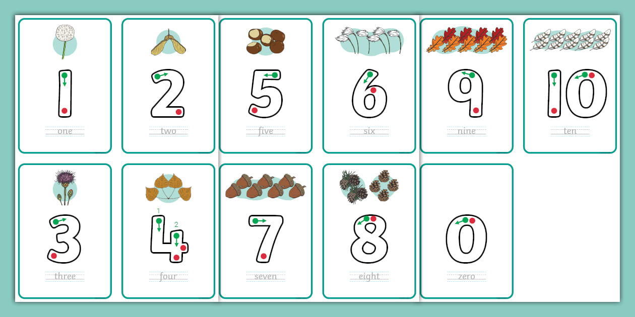 Number Formation Tracing Cards (Teacher-Made) - Twinkl
