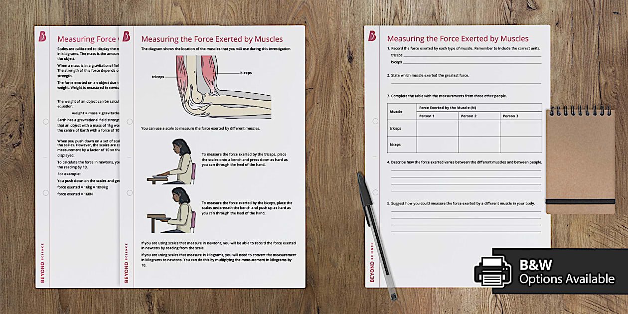 Measuring the Force Exerted by Muscles - Twinkl
