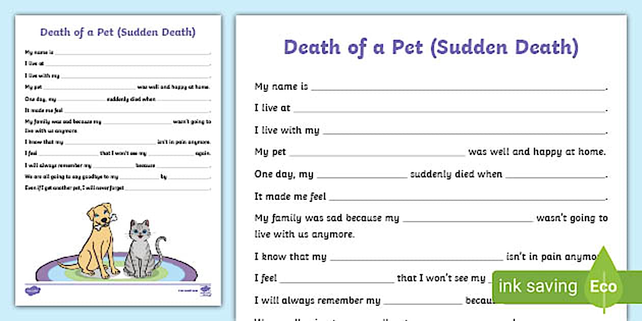 Social Situation Sheet Death of a Pet Sudden Death Primary