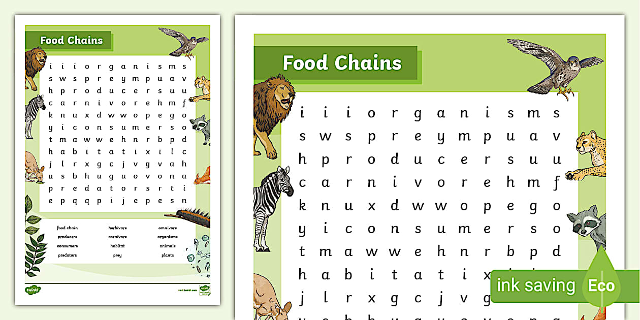 Food Chains Word Search,Animals Including Humans - Twinkl