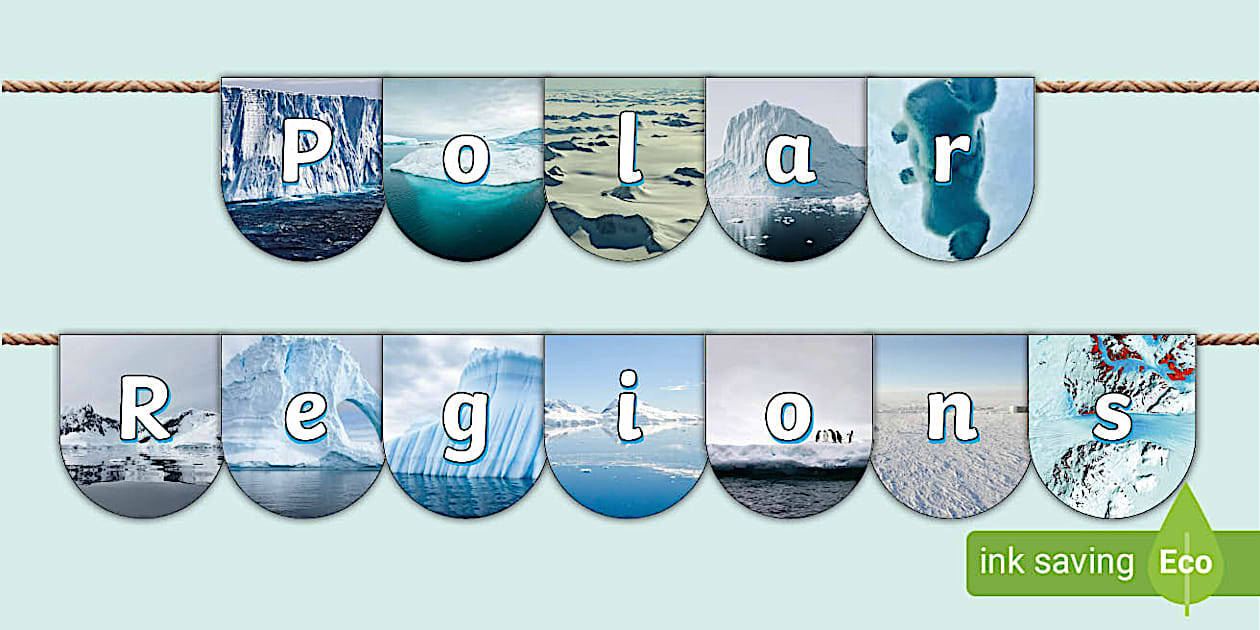 Polar Regions Text Display Bunting (teacher made) - Twinkl