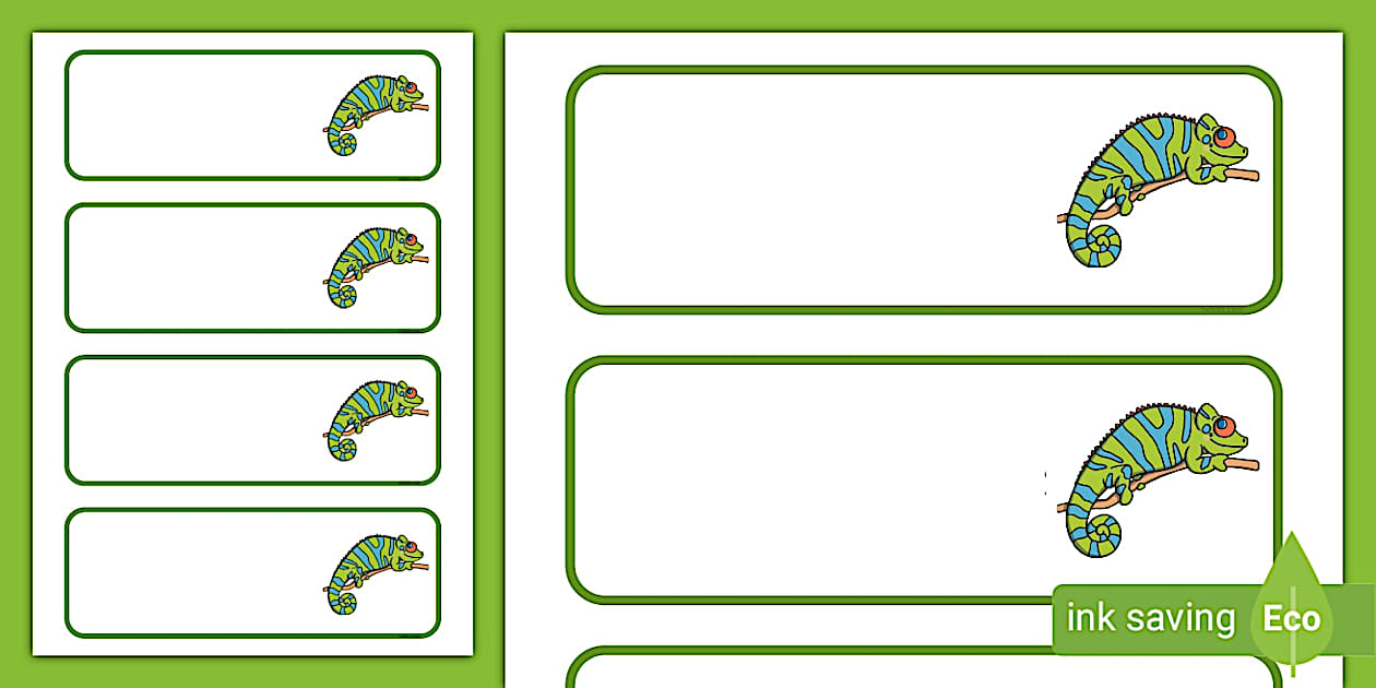 Editable Chameleon Name Labels (Teacher-Made) - Twinkl