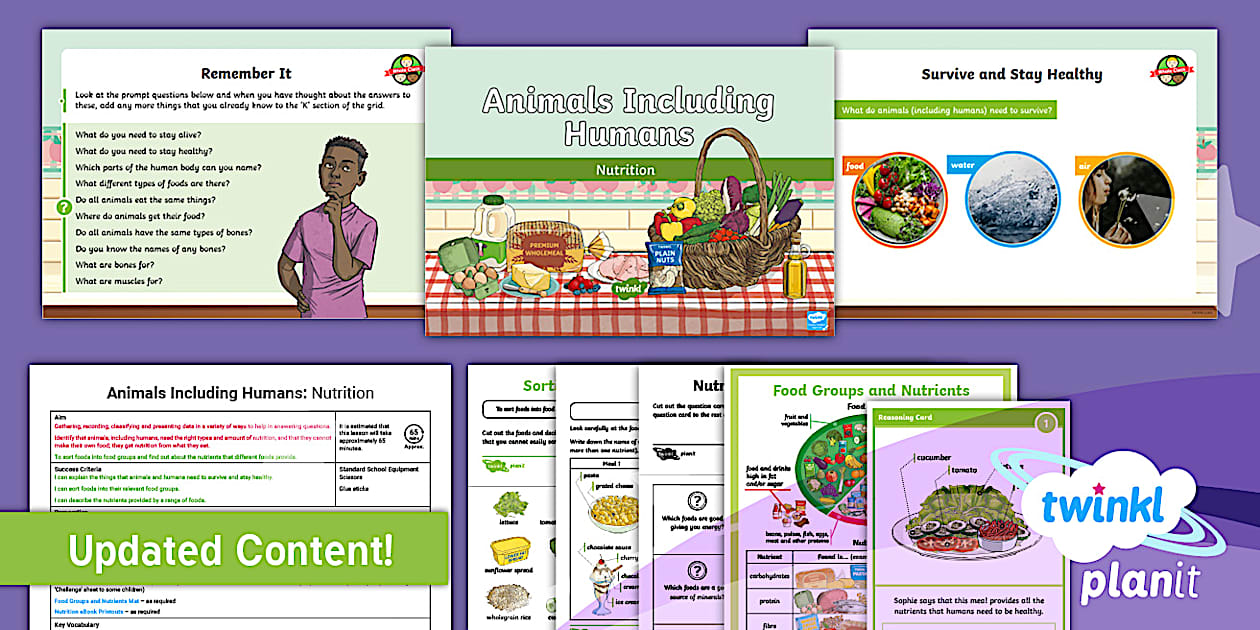 Science: Animals Including Humans: Nutrition Year 3 Lesson 1