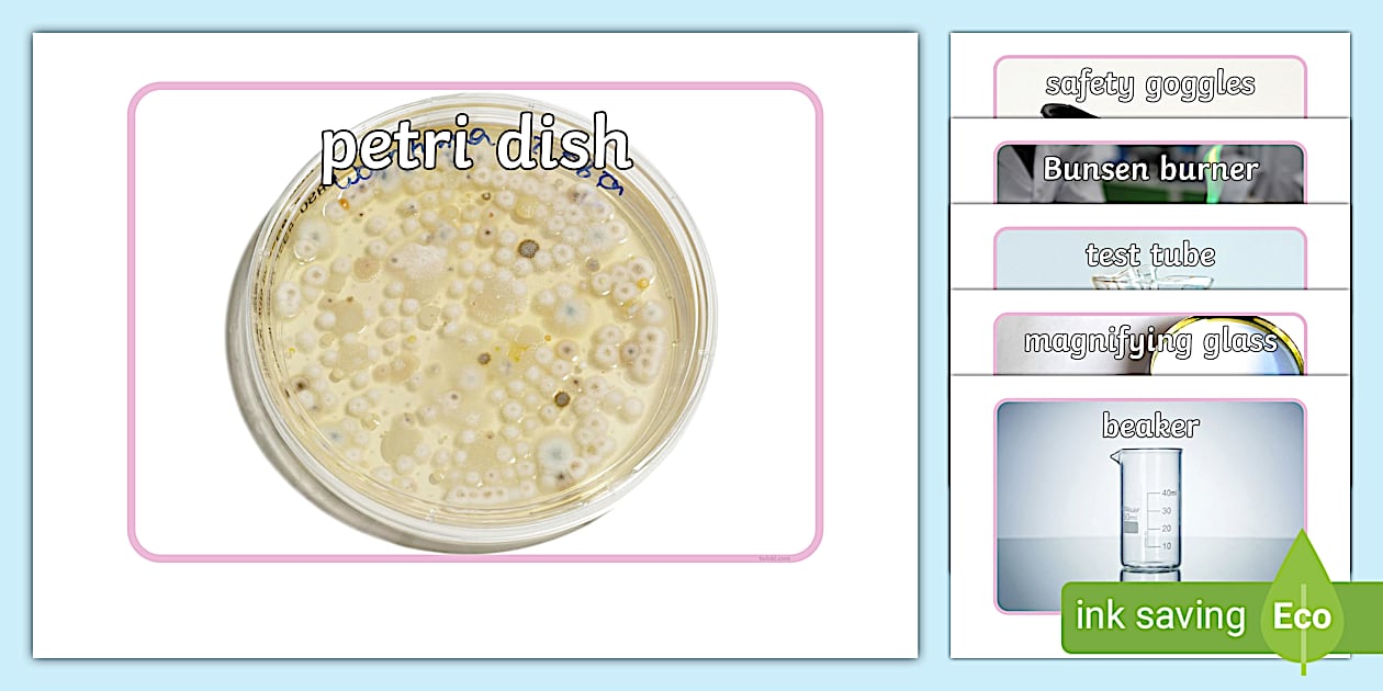 Science Equipment Photo Display Pack - Twinkl - KS2 - Twinkl
