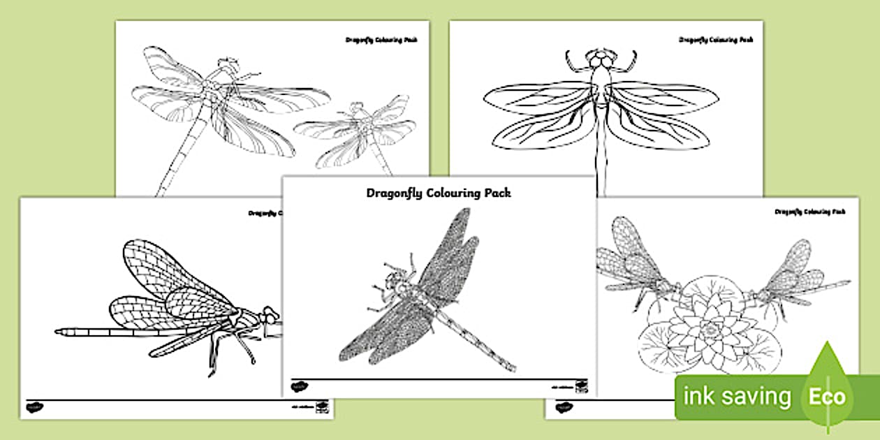 Dragonfly Template Colouring Pages (teacher made) - Twinkl