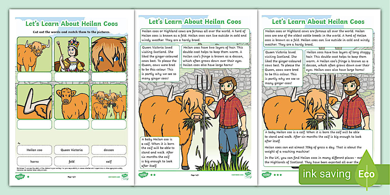 Let's Learn About Heilan Coos Differentiated Reading Comprehension