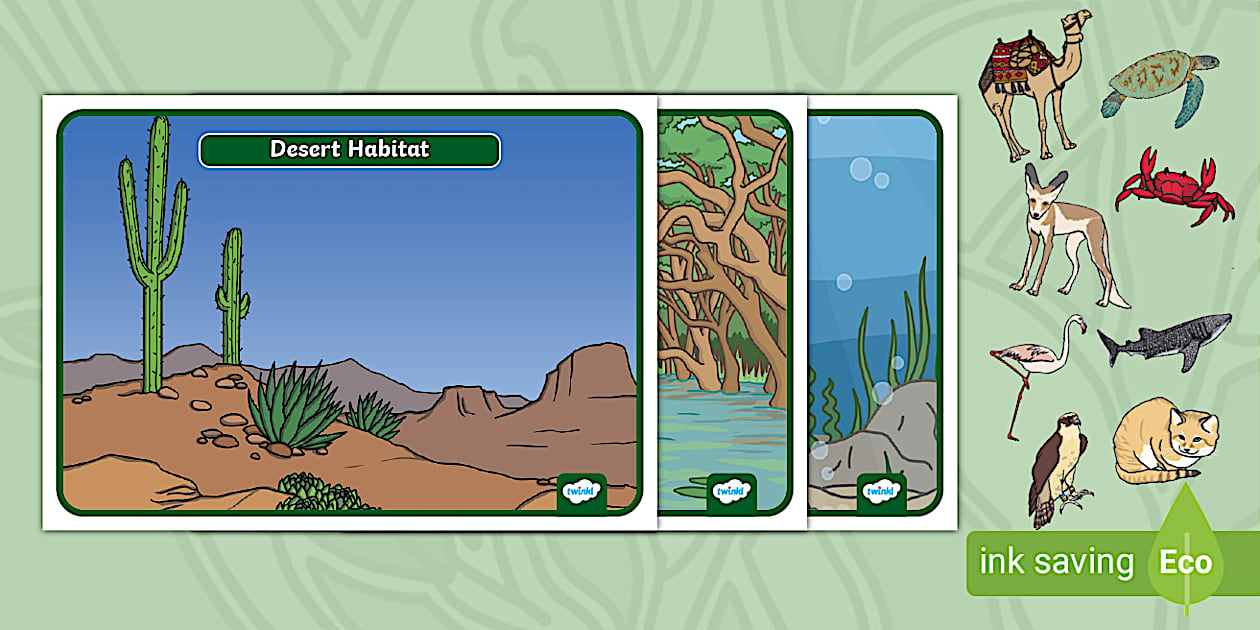 UAE Habitat Activity (creat de profesori) - Twinkl