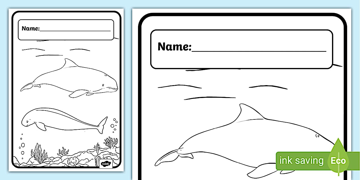 Porpoise Colouring Book Cover (teacher made) - Twinkl