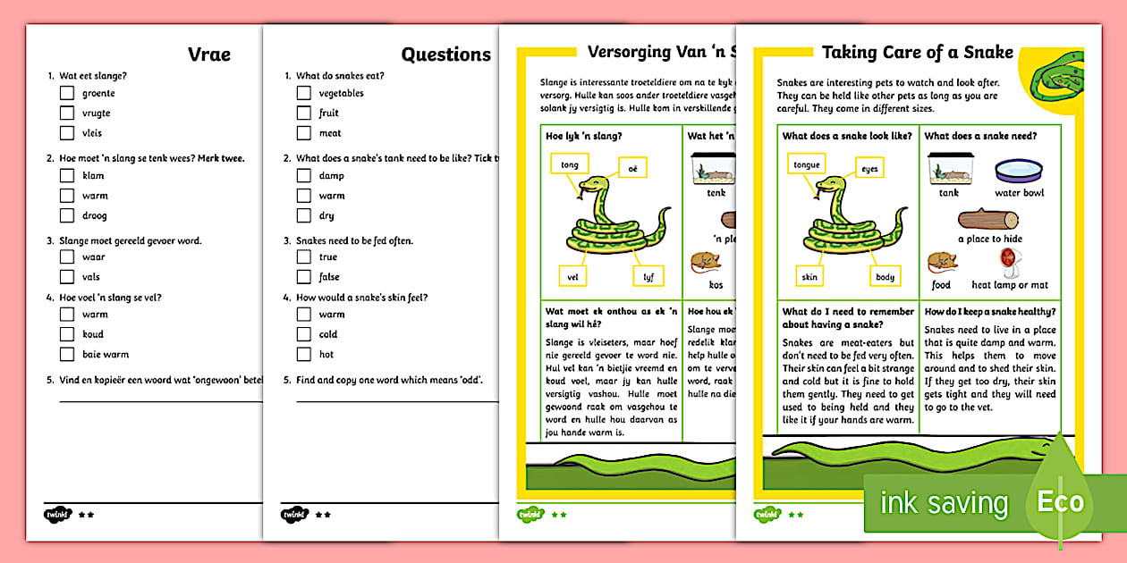 How to Look After a Snake Differentiated Reading Comprehension Activity