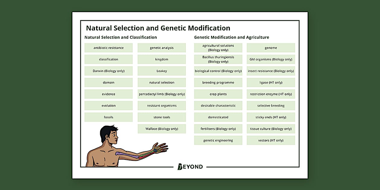 Natural Selection and Genetic Modification Word Mat |Biology