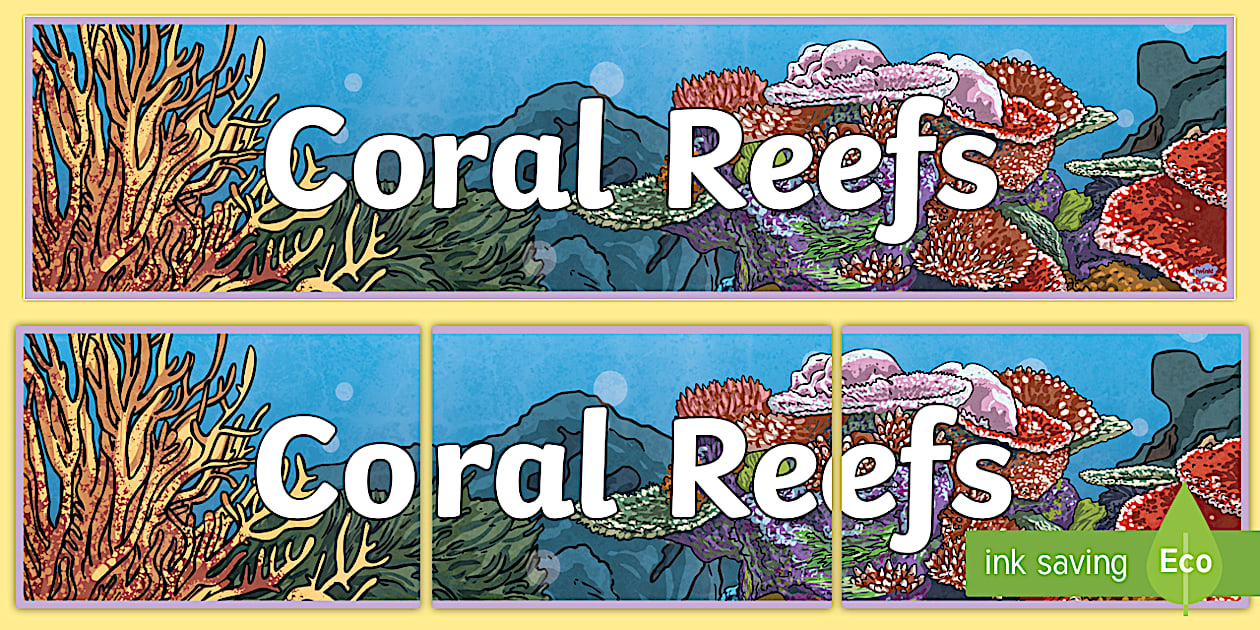 Cursive Coral Reefs Display Banner (teacher made) - Twinkl