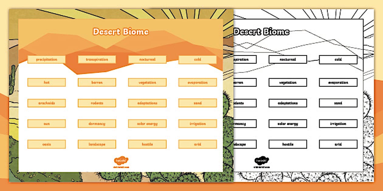 Desert Biome Vocabulary Mat (Teacher-Made) - Twinkl