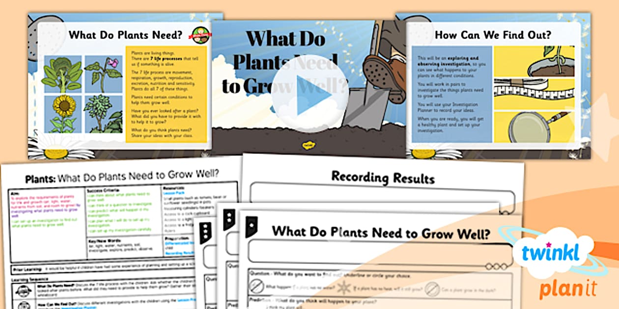 Science: Plants: What do Plants Have to Grow Well? - Year 3