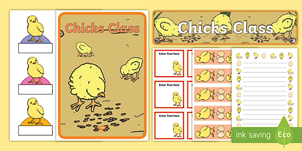 Chicks Class Resource Pack (teacher made) - Twinkl