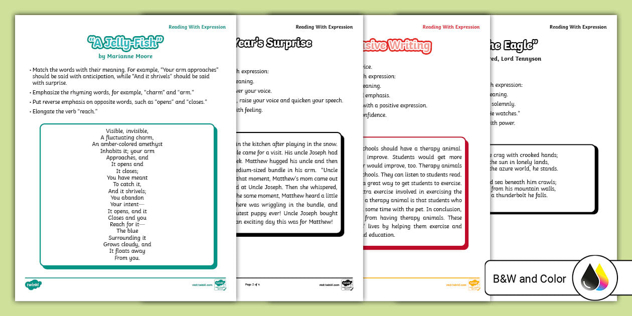 Reading with Expression Activity Sheet | Twinkl USA - Twinkl