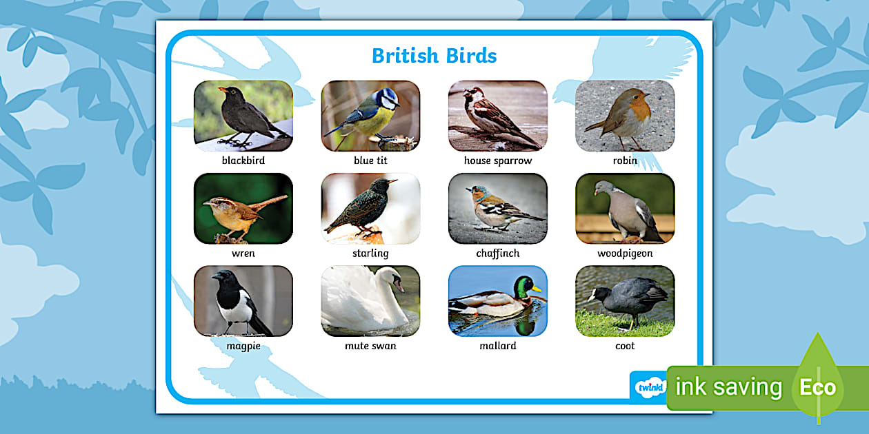 British Bird Words Mat | RSPB Big Garden Birdwatch | Twinkl