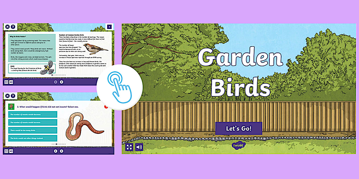 Self-Marking Garden Birds Reading Comprehension | Twinkl Go!
