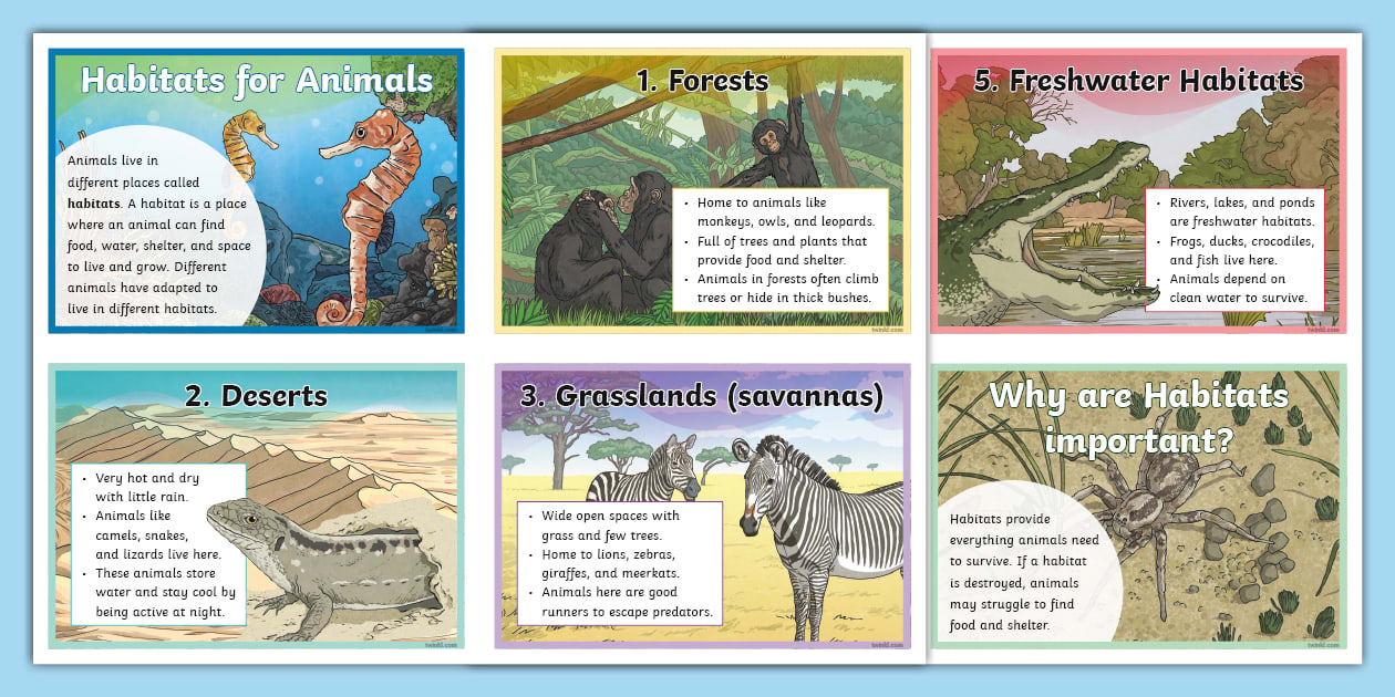 Habitats of Animals Fact Cards (teacher made) - Twinkl