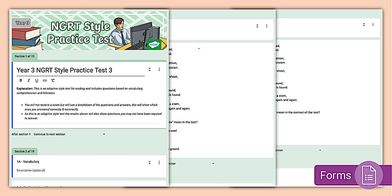 Year 3 NGRT Style Practice Test 3 - Twinkl
