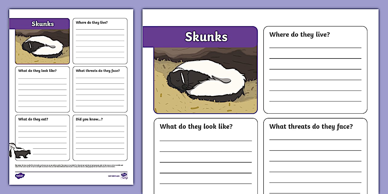 Skunk Fact File Template (l'enseignant a fait) - Twinkl
