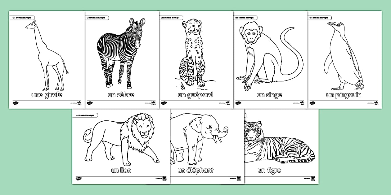 Coloriage : Les animaux sauvages (Teacher-Made) - Twinkl