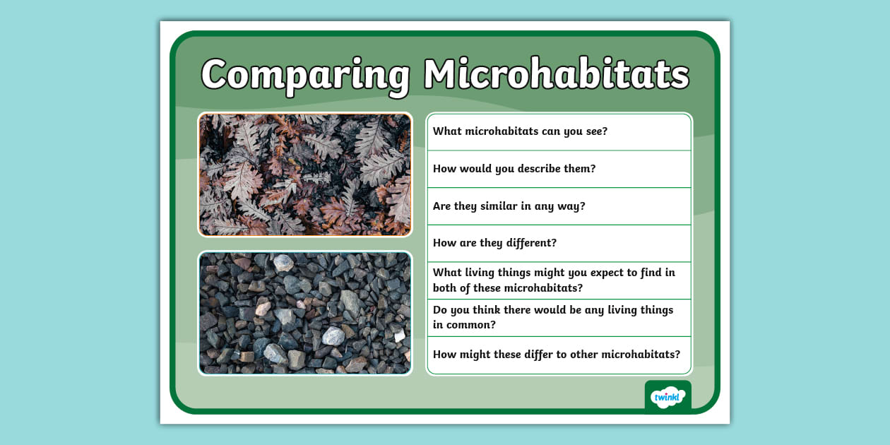 Comparing Microhabitats Discussion Prompt Display Poster