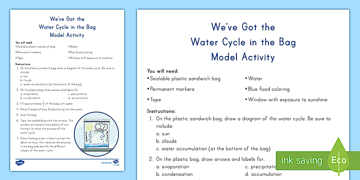 We've Got the Water Cycle in the Bag Model Worksheet for K-2nd Grade