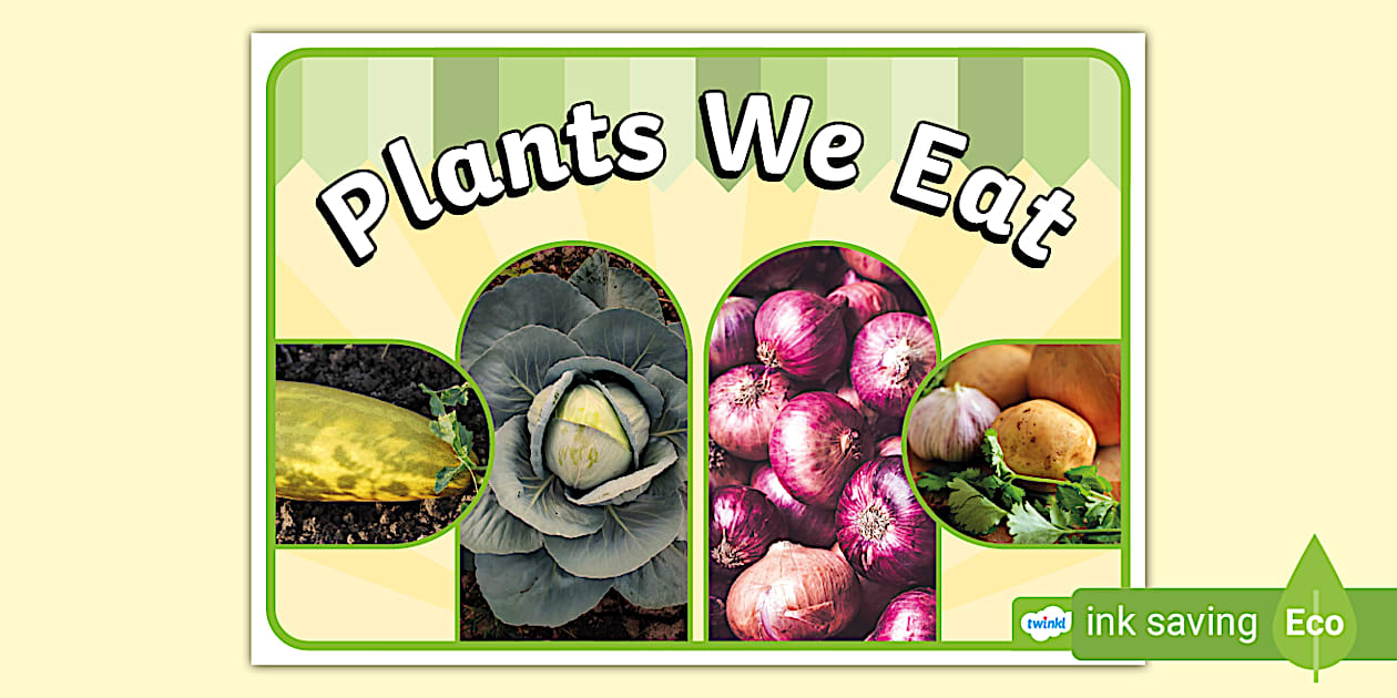 Plants We Eat Photo Display Poster (teacher made) - Twinkl