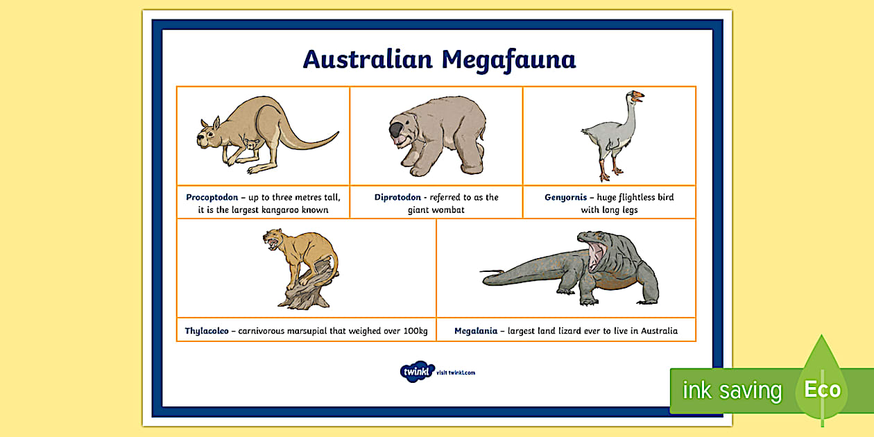 Australian Megafauna Display Poster (teacher made) - Twinkl