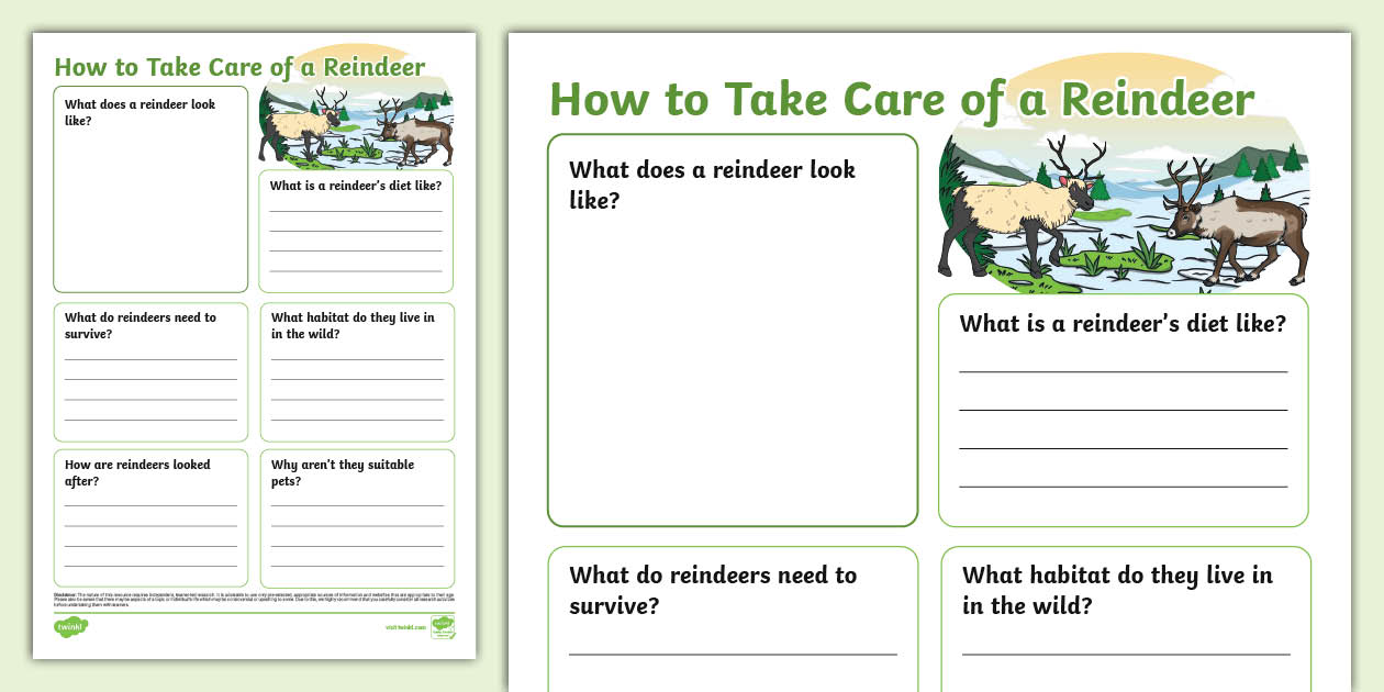 How to Take Care of Reindeer Fact File Template - Twinkl