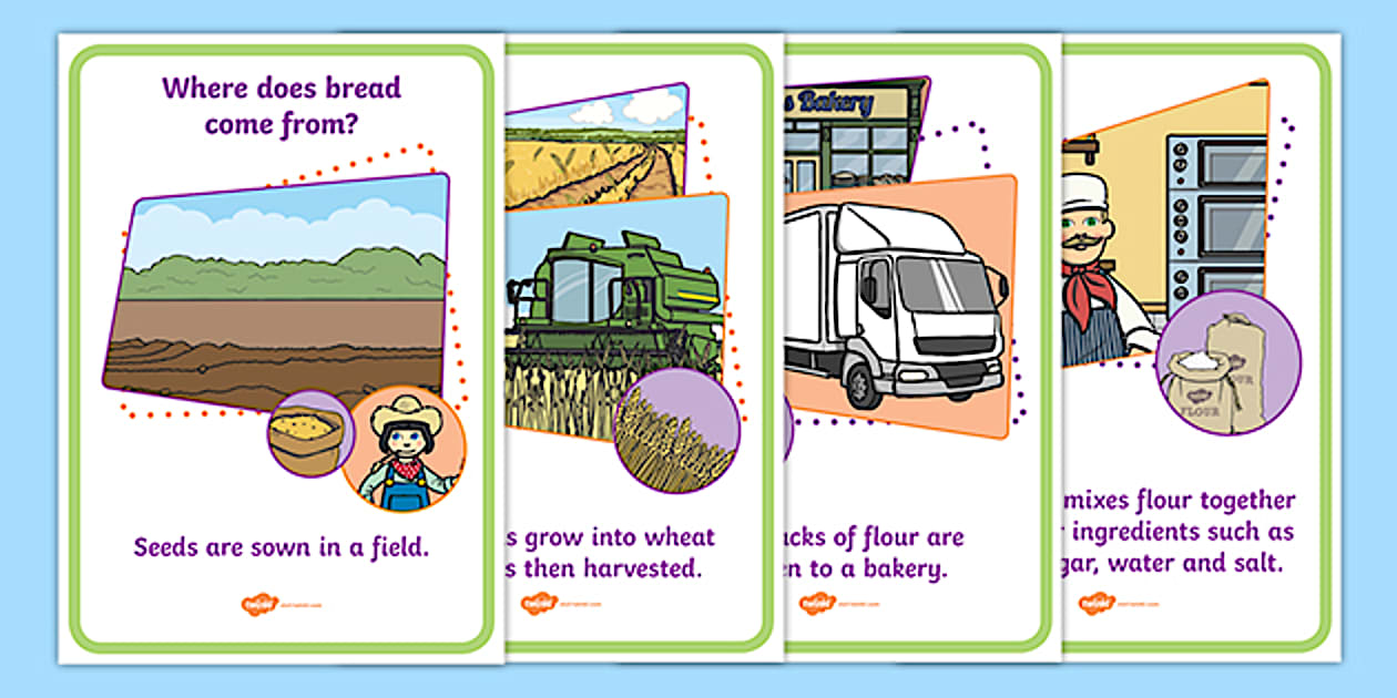 Bread Production Display Posters (teacher made) - Twinkl