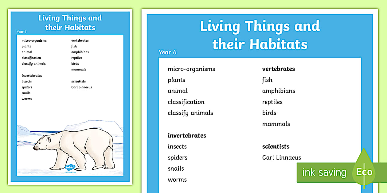Cursive Year 6 Living Things and their Habitats Scientific Vocabulary ...
