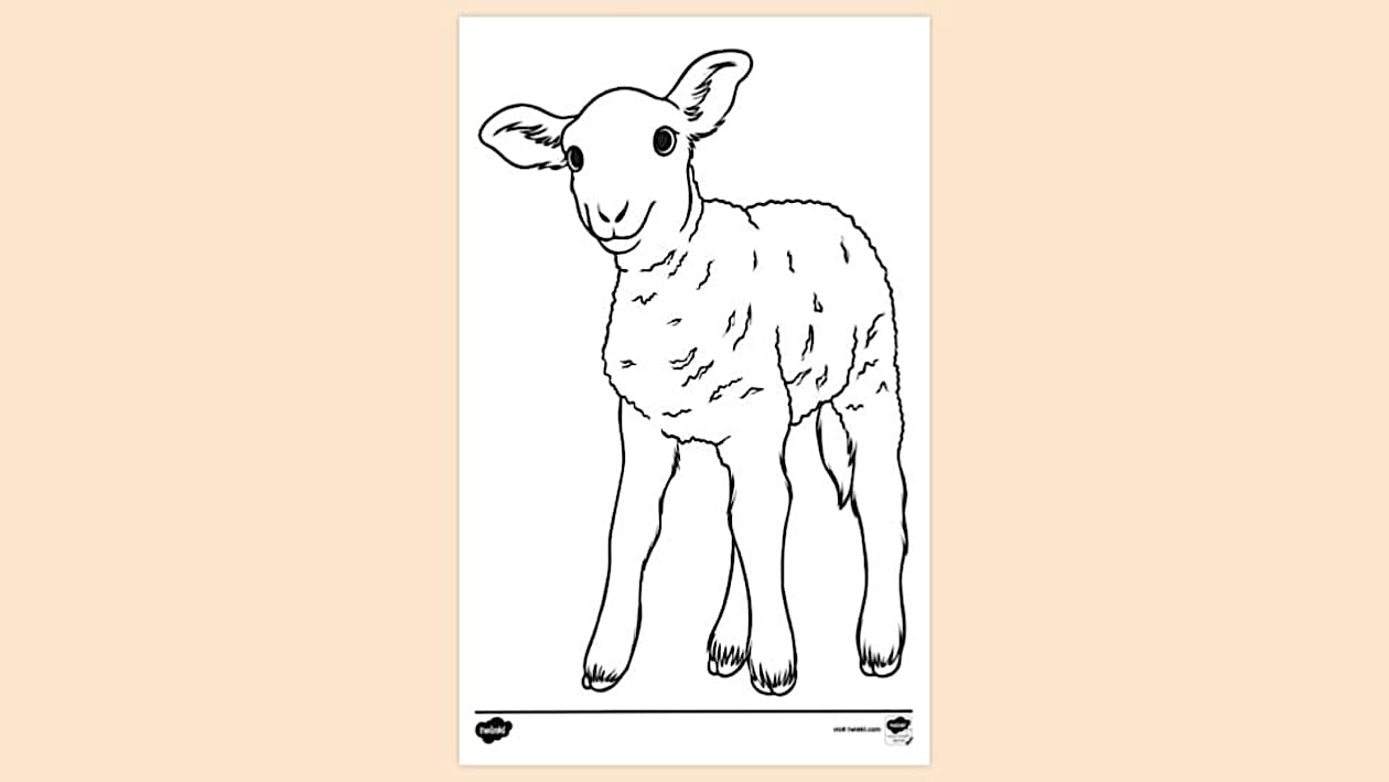 Baby Lamb Colouring Sheet - Creative Worksheets - Twinkl