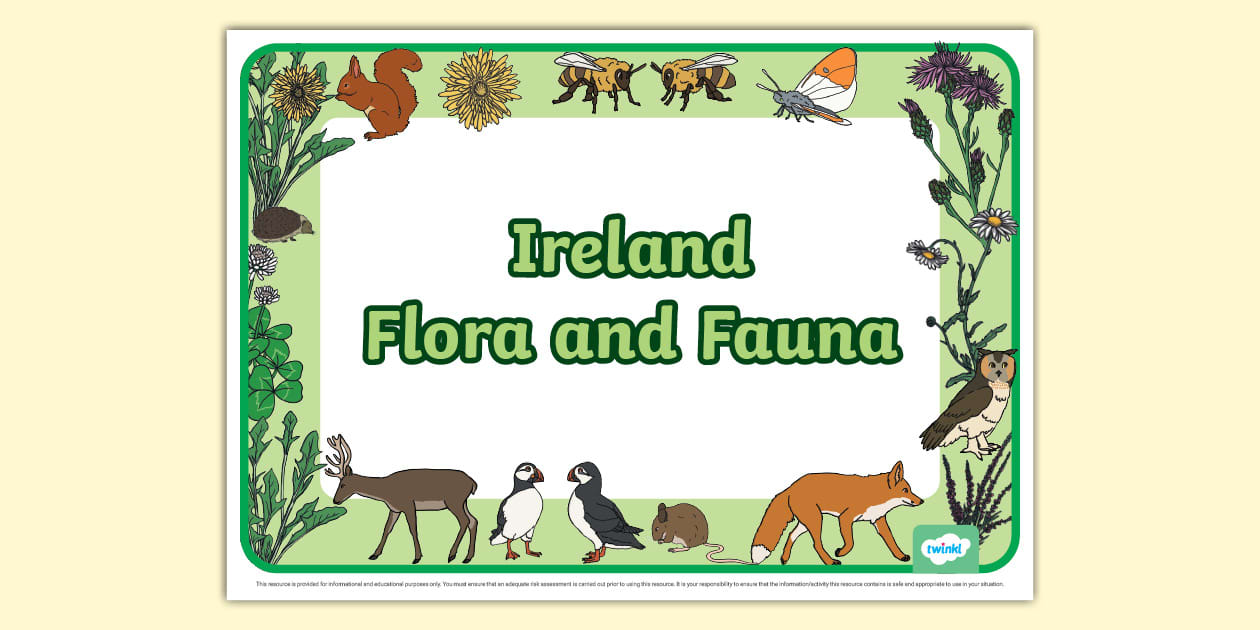 Ireland Flora and Fauna Editable Display Poster - Twinkl