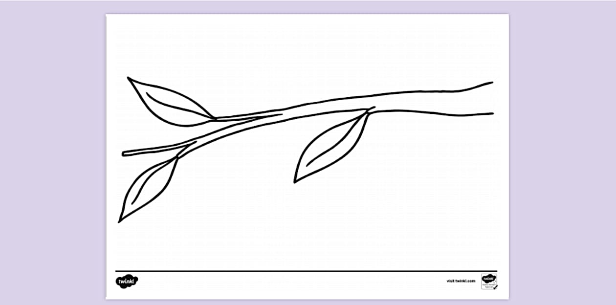 Tree Branch Colouring | Colouring Sheets - Twinkl