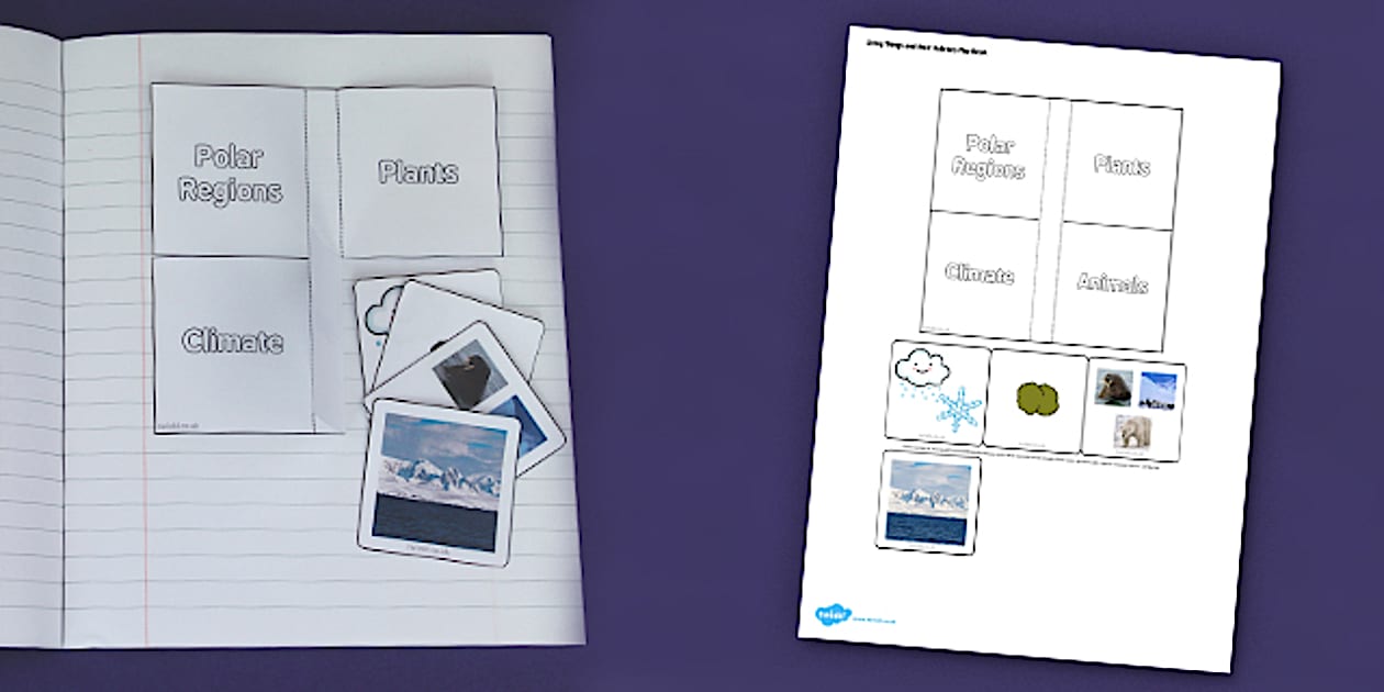 Living Things and their Habitats Polar Region Flap Book - Polar