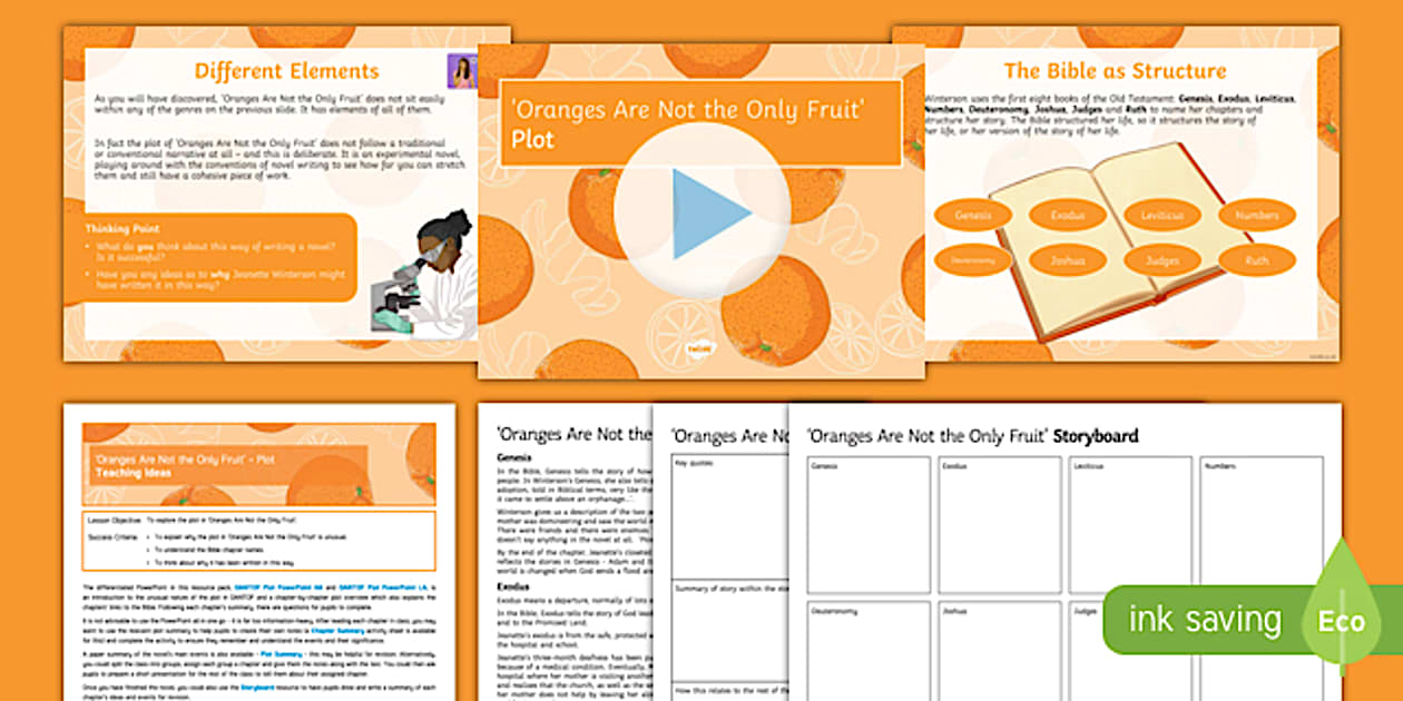 GCSE Oranges Are Not the Only Fruit Lesson Pack: Plot