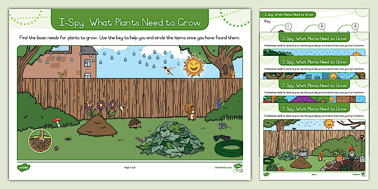 Life Skills - Worksheet: What Plants Need to Grow "I Spy"